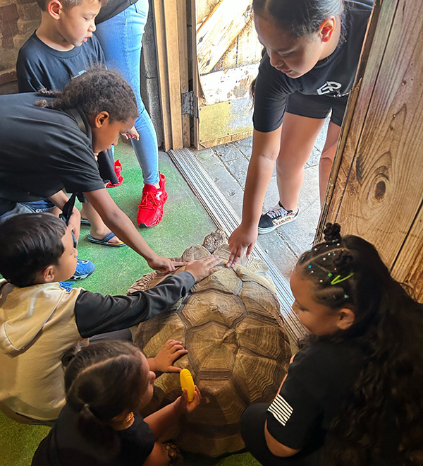 Home - Elite Performance Prep Academy